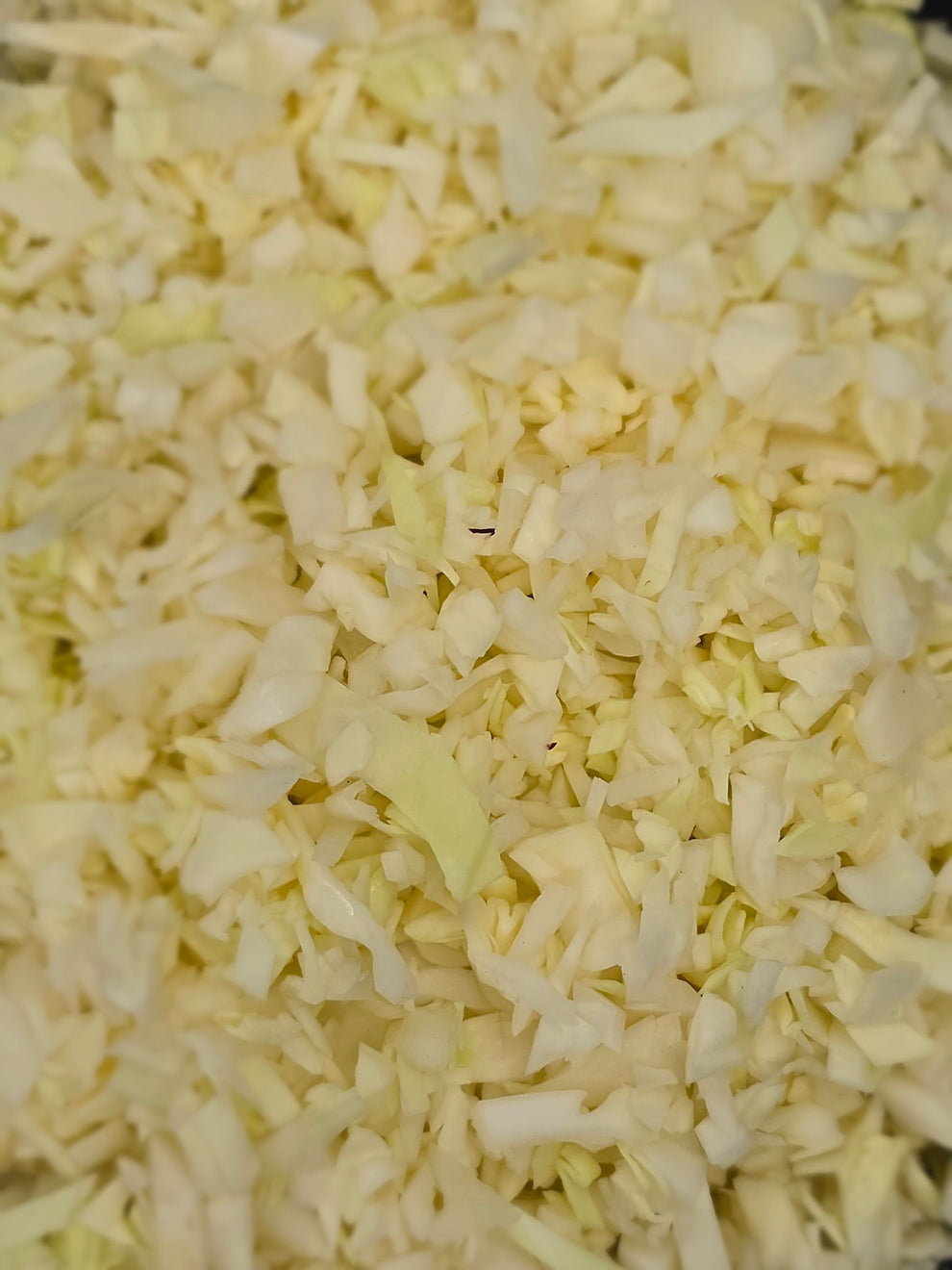 Fresh Cabbage Thoran Mix -QV108 – qcookit.com